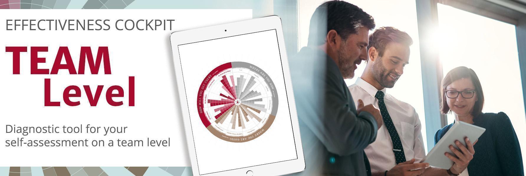 Digital Online Effectiveness Cockpit — Team Level | Reichart ...
