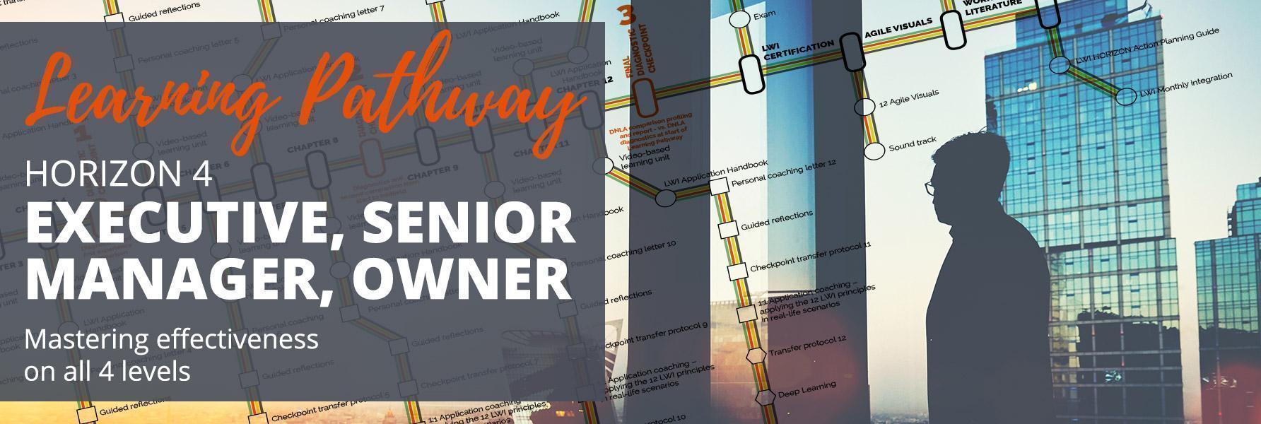 Learning Pathway Horizon 4 – Executive, senior manager, owner ...